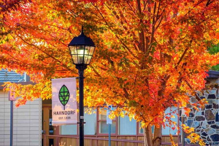 Adelaide in Winter 2025: Cosy Escapes, Wild Adventures & Hidden Gems ...